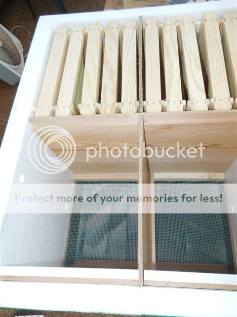 Mini mating nuc prototype with window | Beesource Beekeeping Forums