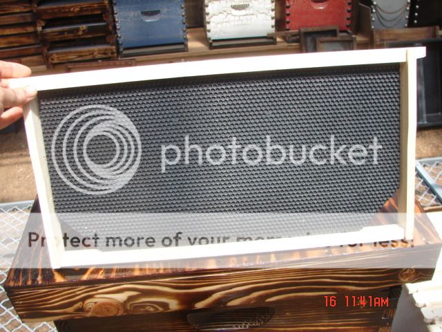 Grooved vs Wedge | Beesource Beekeeping Forums