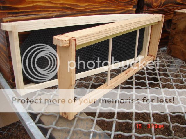 Foundationless or foundation..best of both worlds | Beesource Beekeeping Forums