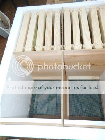 Cutting down 9 1/8 inch frames for queen rearing | Beesource Beekeeping Forums