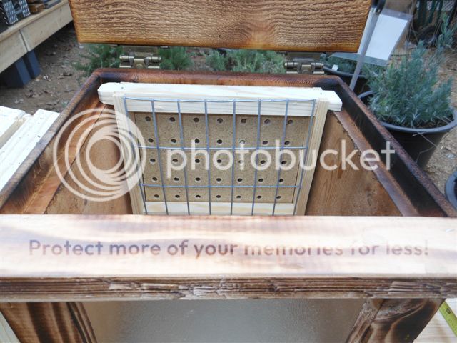 Mini mating nuc prototype with window | Beesource Beekeeping Forums