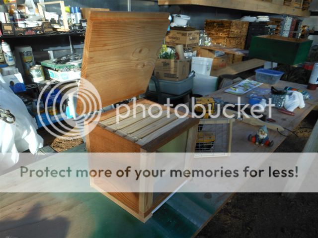 Mini mating nuc -w window | Beesource Beekeeping Forums