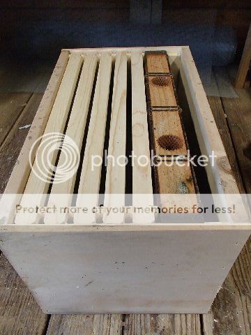 2017 nuc transport box preferences | Beesource Beekeeping Forums