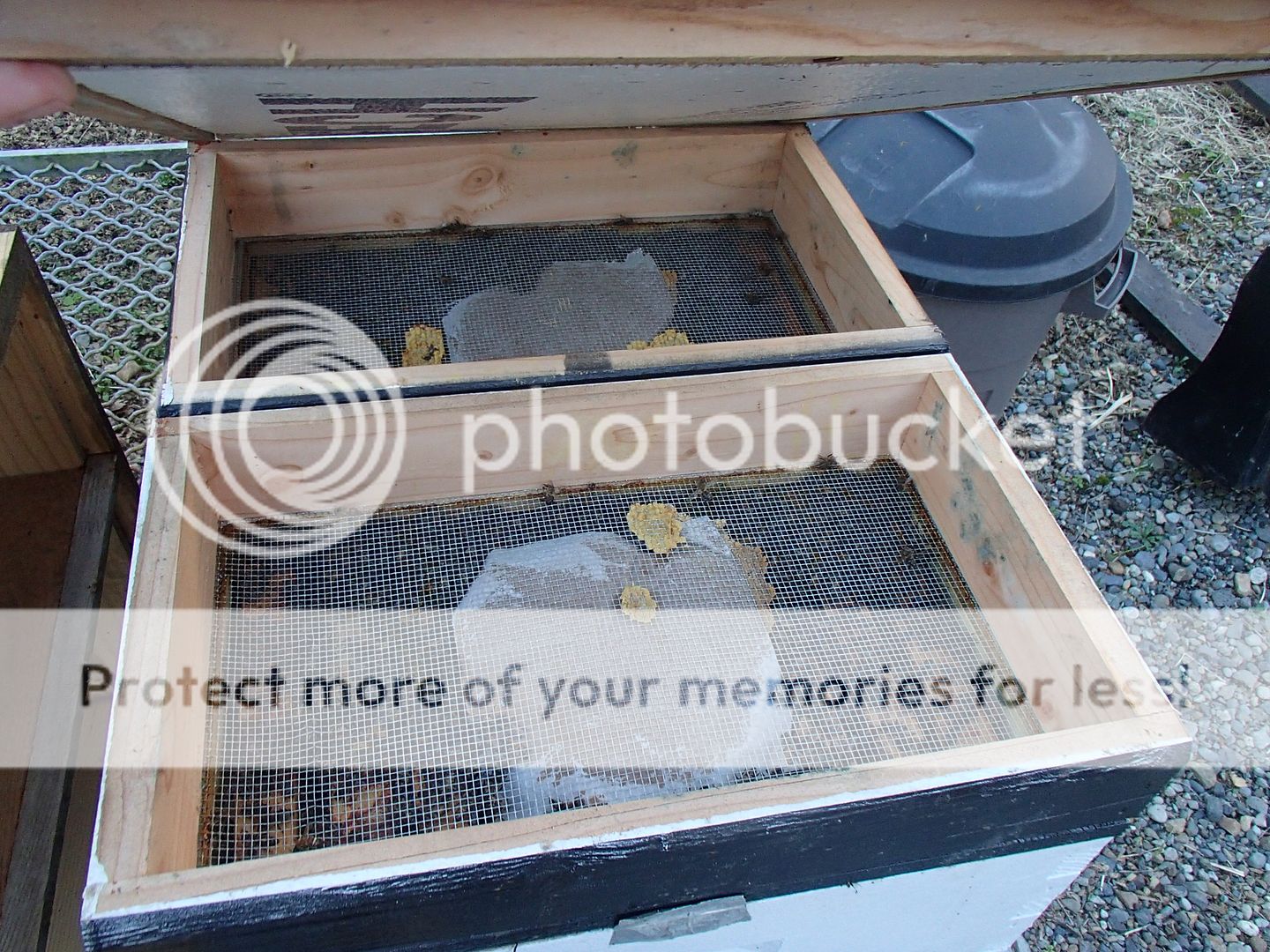 Mini Mating Nuc | Beesource Beekeeping Forums