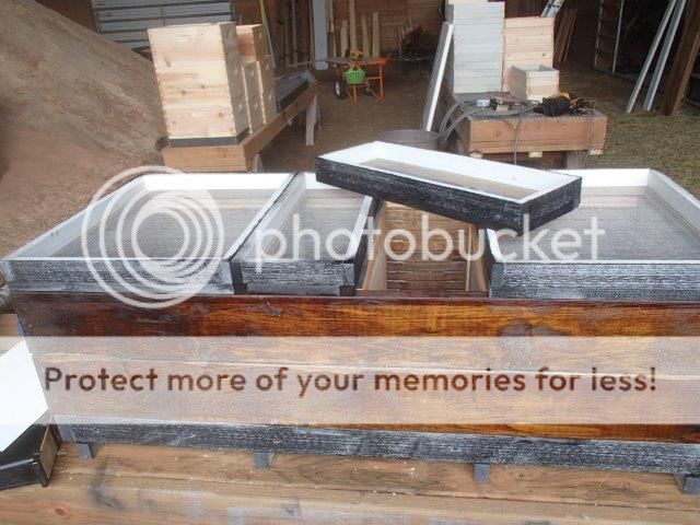 Long Lang double divided breeder queen hive & all on one repro unit ...