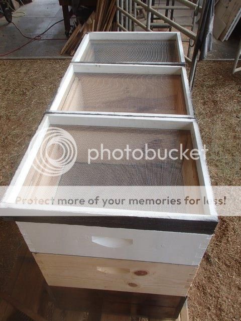 Long Hive with Lang frames-multi use. Production or queen rearing ...