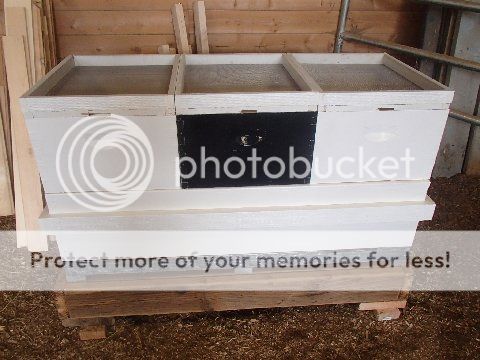 Long Lang double divided breeder queen hive & all on one repro unit ...