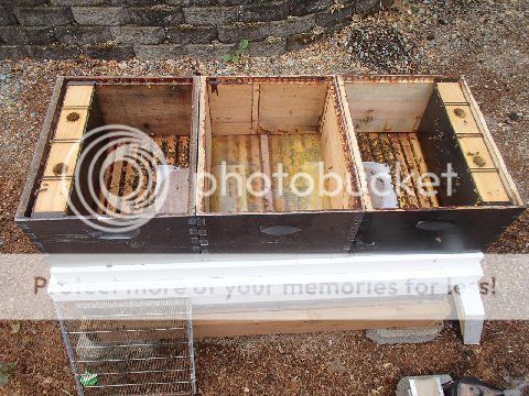 Running two queen colonies | Page 4 | Beesource Beekeeping Forums