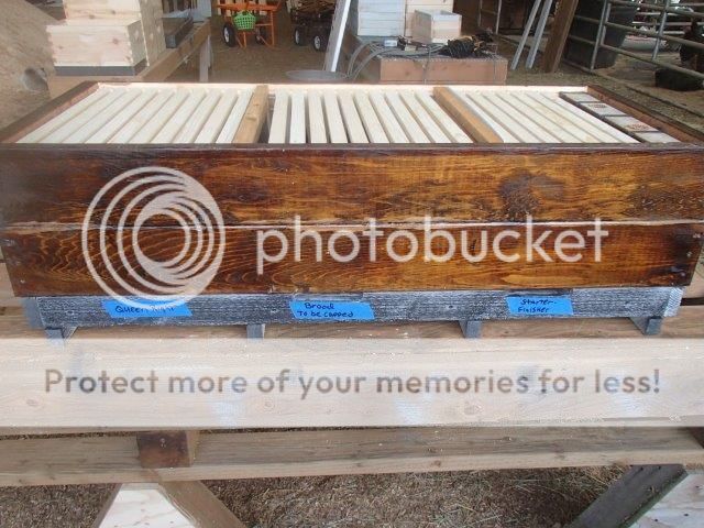 Long Lang double divided breeder queen hive & all on one repro unit ...