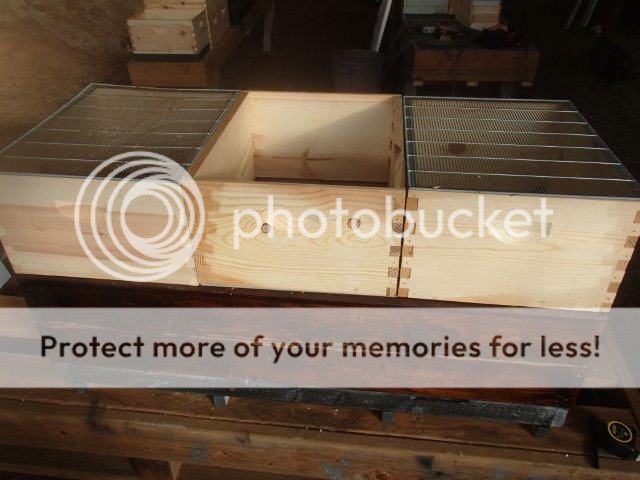 Running two queen colonies | Page 4 | Beesource Beekeeping Forums