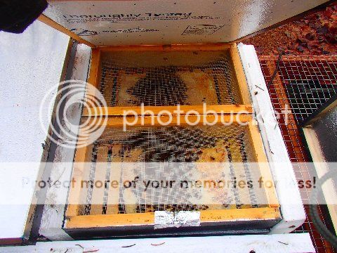 Does anyone heat their beehives during cold spells | Beesource ...